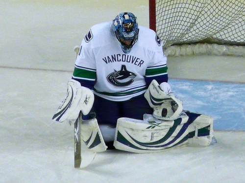 Should the Otttawa Senators Acquire Roberto Luongo?