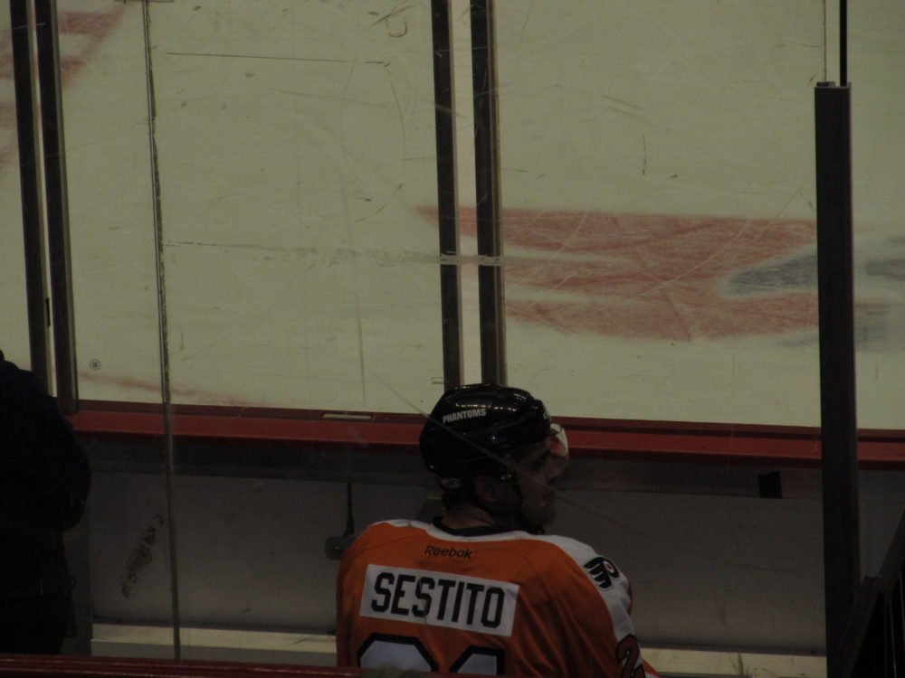 Tom Sestito: Bio, Stats, News & More - The Hockey Writers