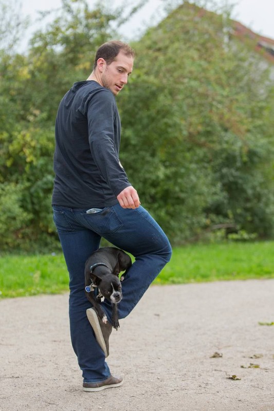 Mike Vernace: An Admiral Abroad - The Hockey Writers - - NHL News ...