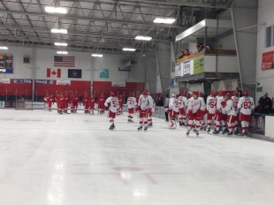 Detroit Red Wings: Jiri Fischer's Optimism Triumphed Over Tragedy