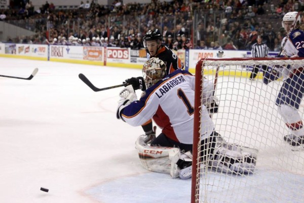 Jason LaBarbera Continuing His Success In The AHL - The Hockey Writers ...