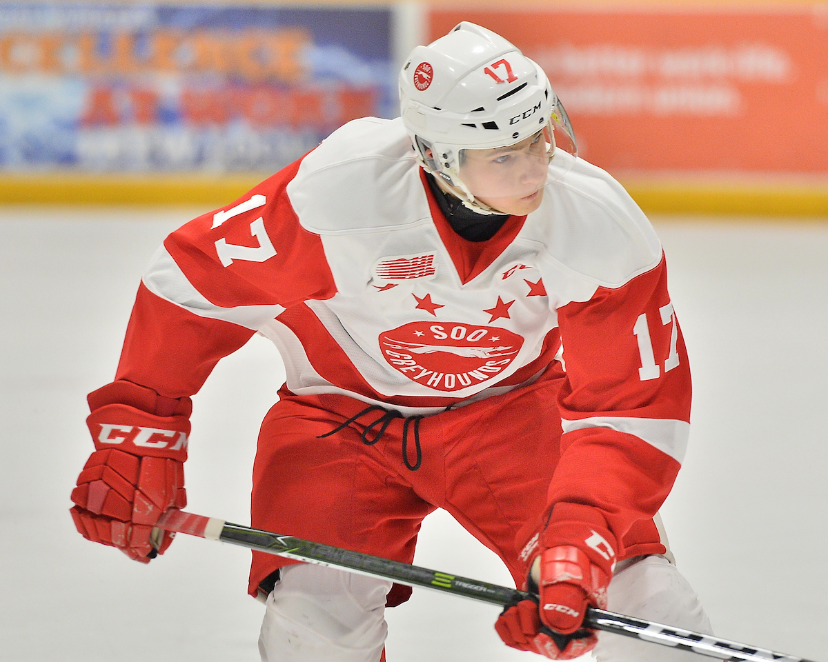 Otters' Camp Points to 'Win-Now' Mentality - The Hockey Writers - OHL ...