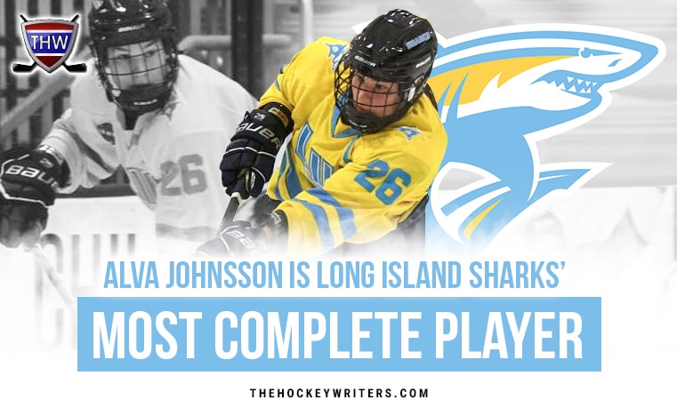 Alva Johnsson Is Long Island Sharks' Most Complete Player - The Hockey ...