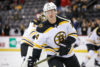 Chris Wagner: Bio, Stats, News & More - The Hockey Writers