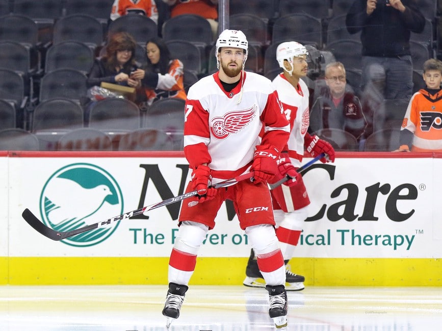 Detroit Red Wings' Filip Hronek Emerging as Team's Best Defenseman