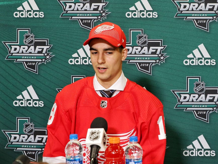 Joe Veleno: A Key Piece of the Red Wings' Future - The Hockey Writers ...