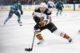 Anaheim Ducks Season Preview: 2018-19
