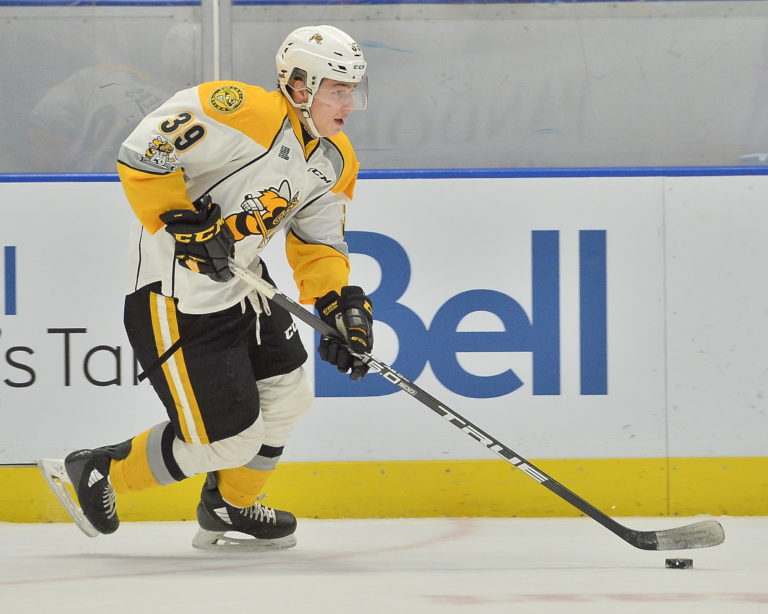 Jamieson Rees - 2019 NHL Draft Prospect Profile - The Hockey Writers ...