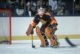 "King Richard” Reimagined: The Goalie Who Became an Artist - The Hockey ...