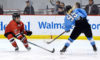 Buffalo Beauts: Q & A with Winger Taylor Accursi