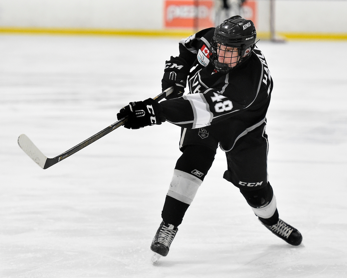 Thomas Harley: A 2019 NHL Draft Prospect to Watch