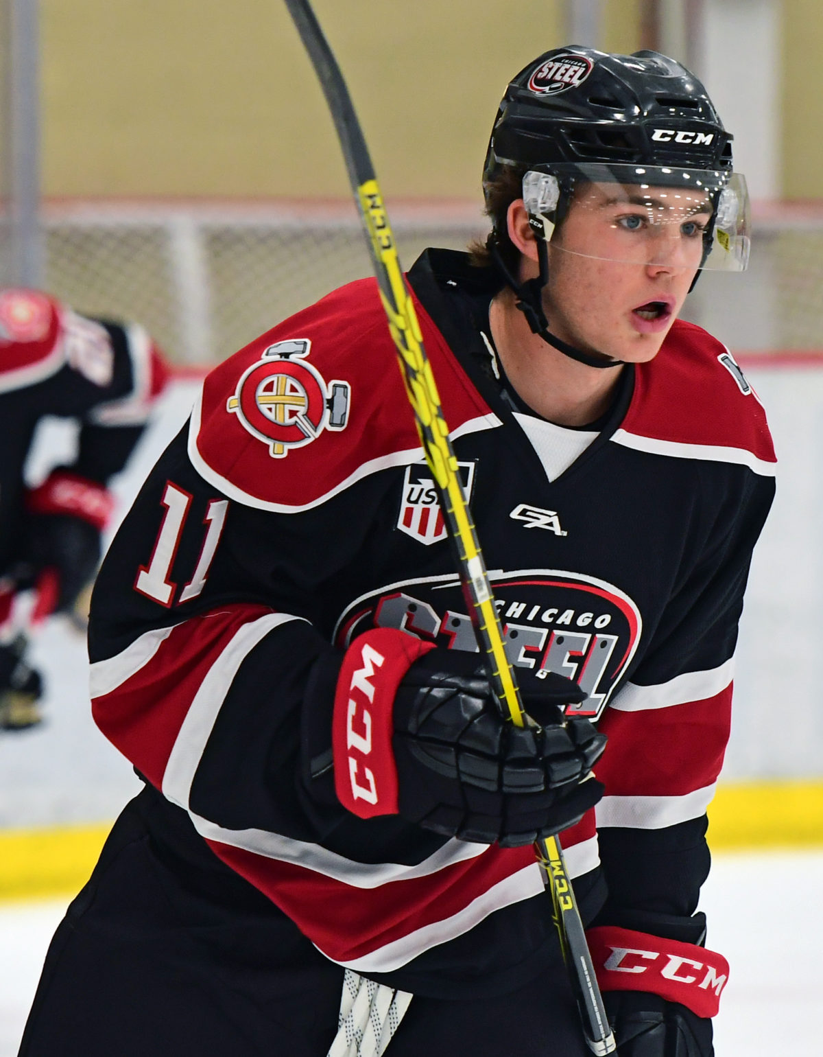 Reilly Walsh – 2017 NHL Draft Prospect Profile - The Hockey Writers ...