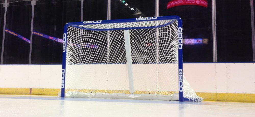 ECHL Will Paint Goal Posts Blue for Ads - The Hockey Writers - - NHL ...