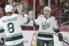 Minnesota Wild’s Success Runs Through the Iowa Wild Pipeline
