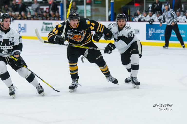 Maxime Comtois - 2017 NHL Draft Prospect Profile - The Hockey Writers ...