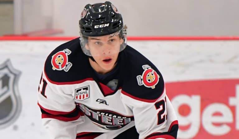 Blake McLaughlin - 2018 NHL Draft Prospect Profile - The Hockey Writers ...