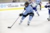Buffalo Beauts: The Importance of Lisa Chesson - The Hockey Writers ...