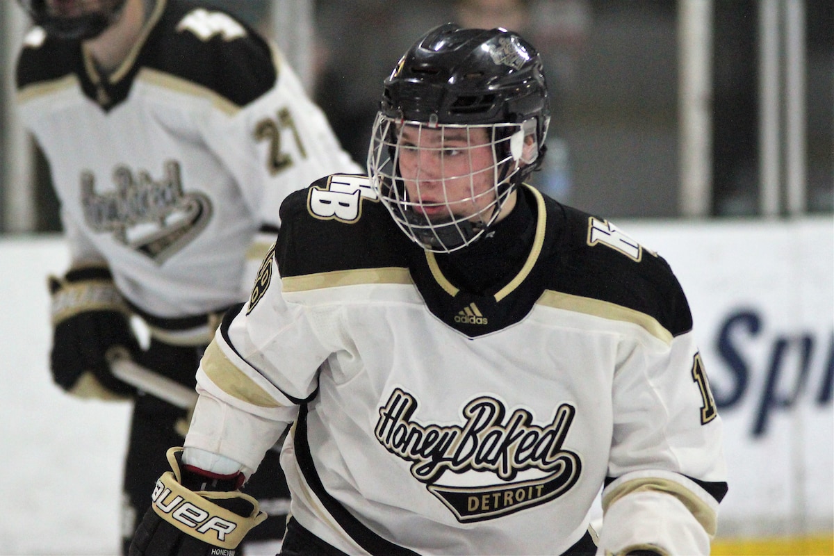 5 Must-Watch Rookies for the 2020-21 OHL Season - The Hockey Writers ...