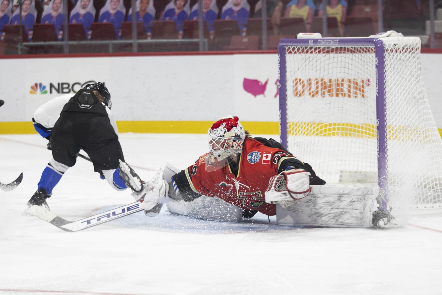 NWHL: Whale Sign a Trio, Beauts Re-Sign a Pair, Chuli Re-Signs with Six