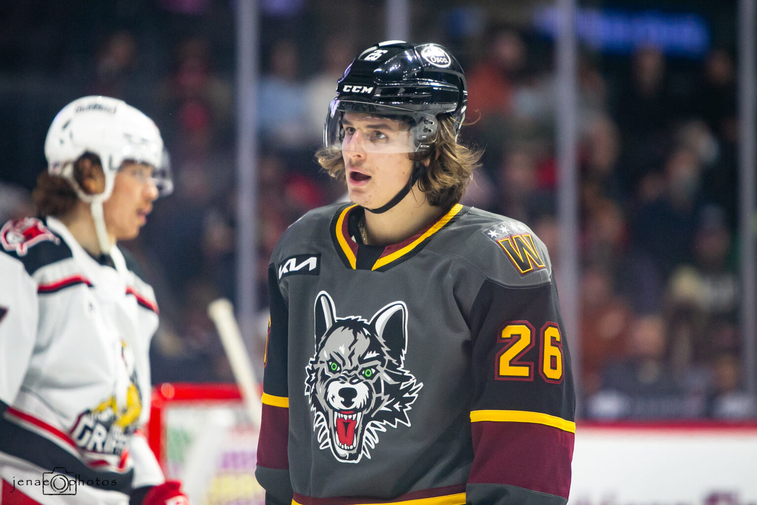 Jamieson Rees: Bio, Stats, News & More - The Hockey Writers