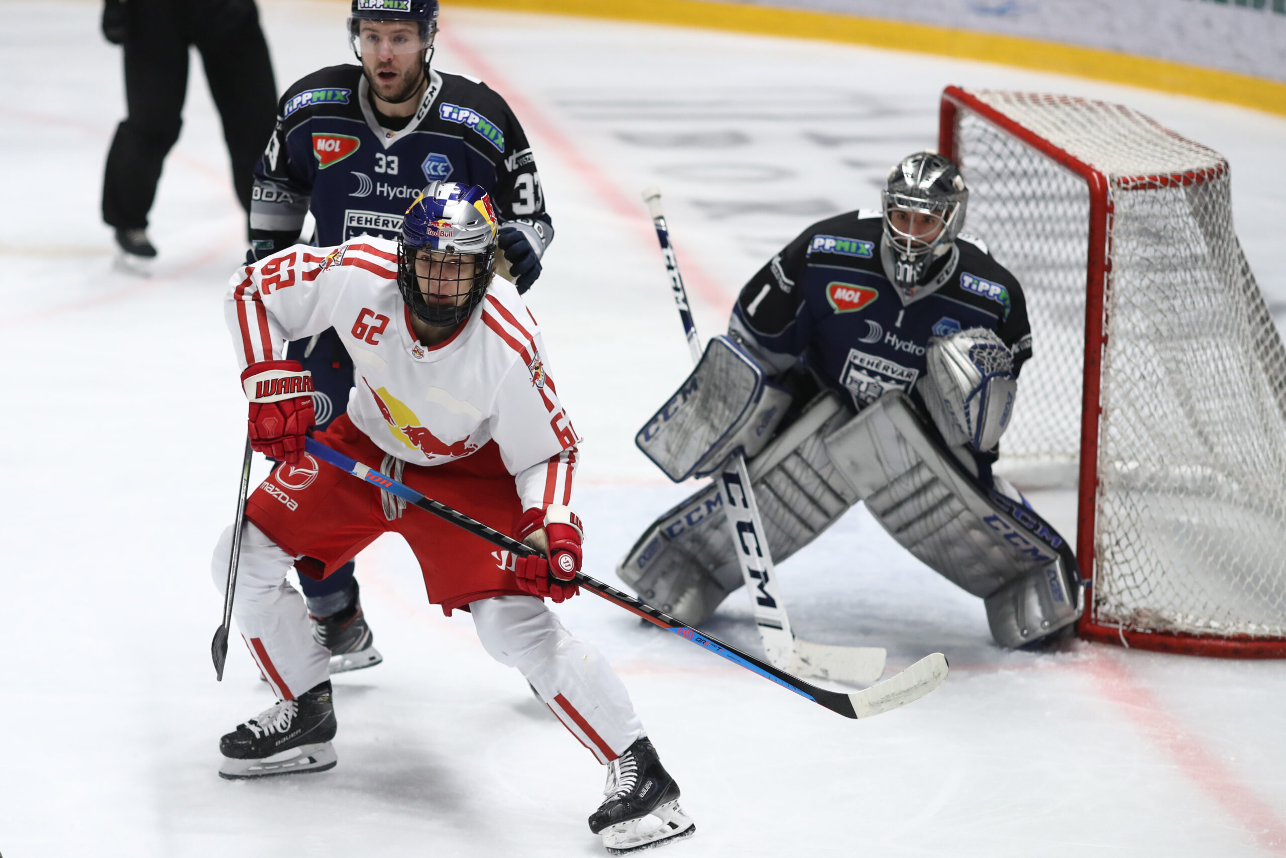 Julian Lutz: Bio, Stats, News & More - The Hockey Writers