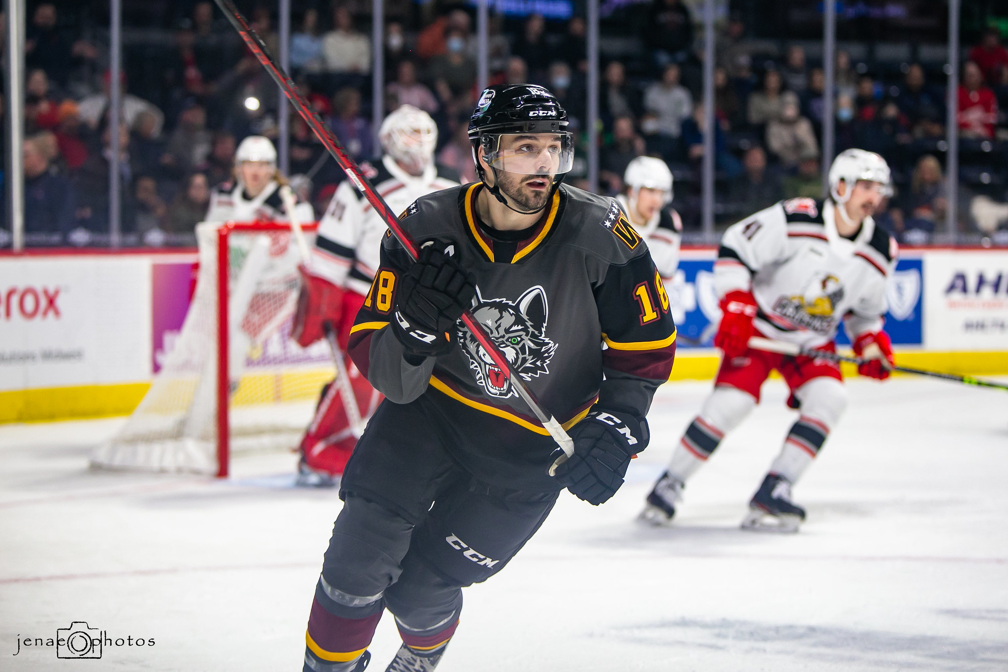 Chicago Wolves' Spencer Smallman Becoming Key to Success