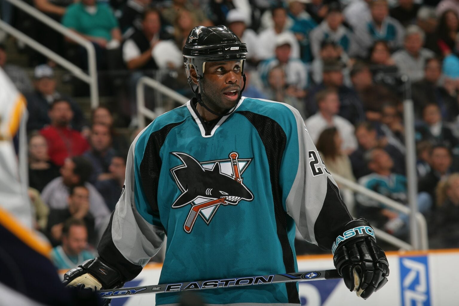 San Jose Sharks History of Black Hockey Players - The Hockey Writers ...
