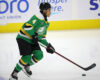 Isaiah George: Bio, Stats, News & More - The Hockey Writers