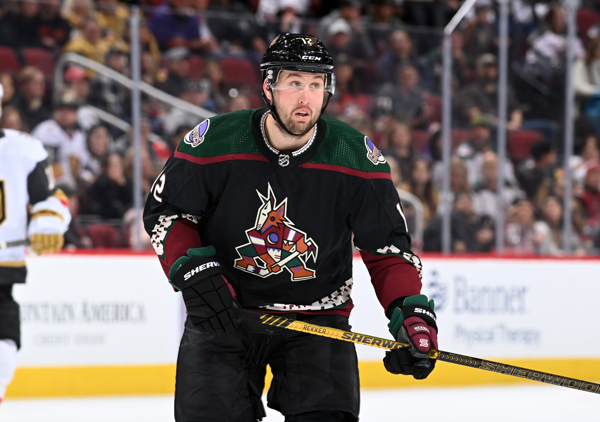 Ex-Maple Leaf Nick Ritchie: Where is He Now?