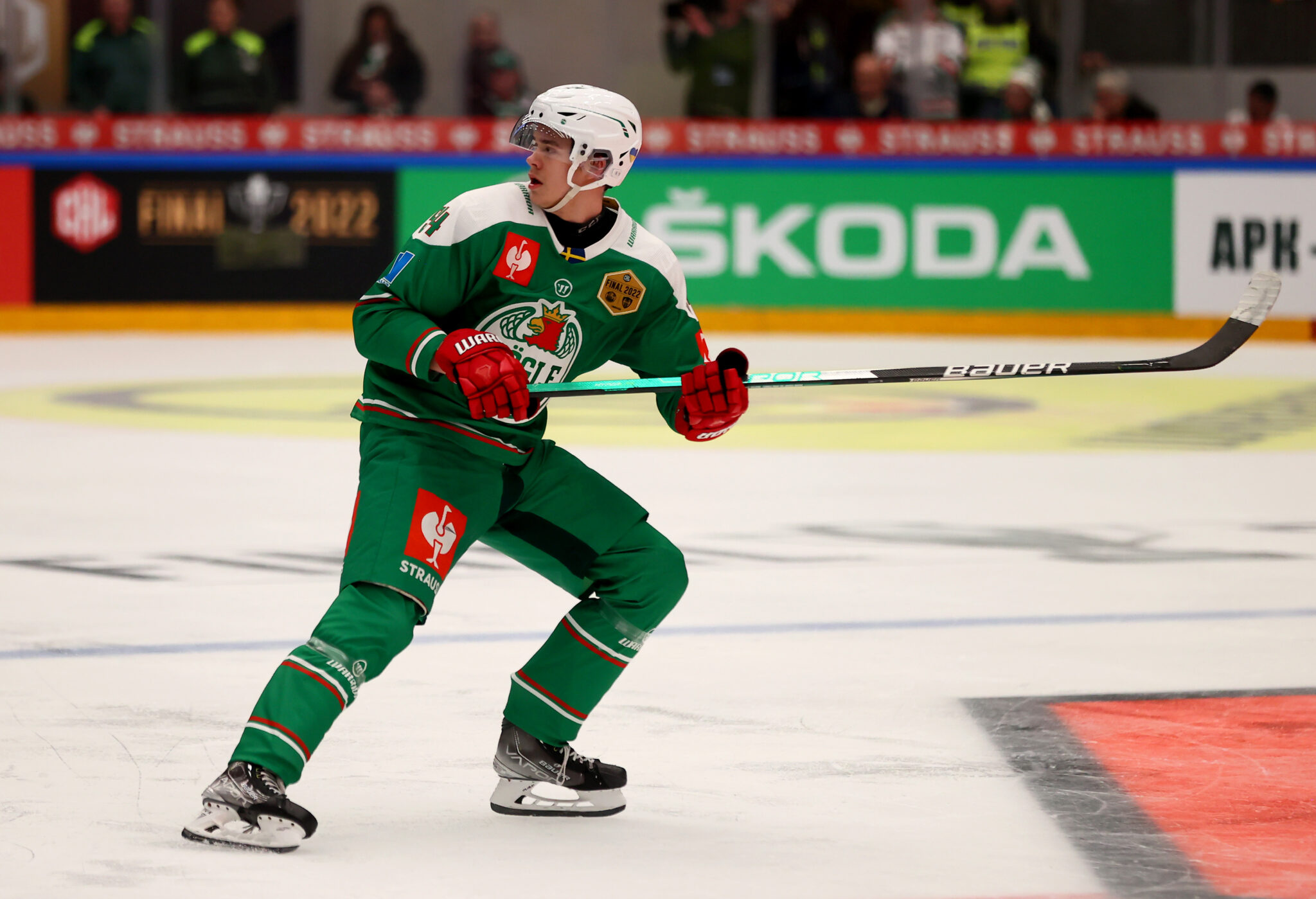 Red Wings' William Wallinder Is A Diamond in the Rough Prospect - The ...