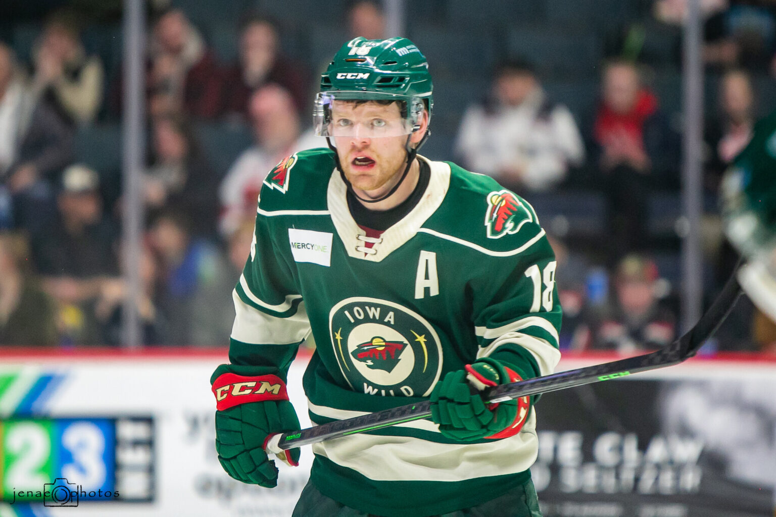 Wild's Dynamic Duo Lead Way, Addison & Shaw Struggle - The Hockey ...