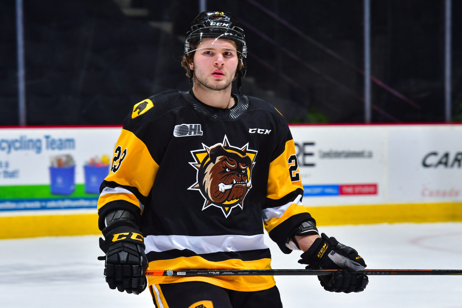 Anaheim Ducks' McTavish Could Be 2022-23 X-Factor