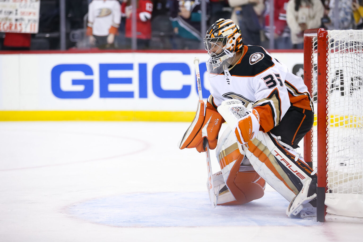 Ducks Start 2023 With Good Goaltending, Power Play & Chemistry - The ...
