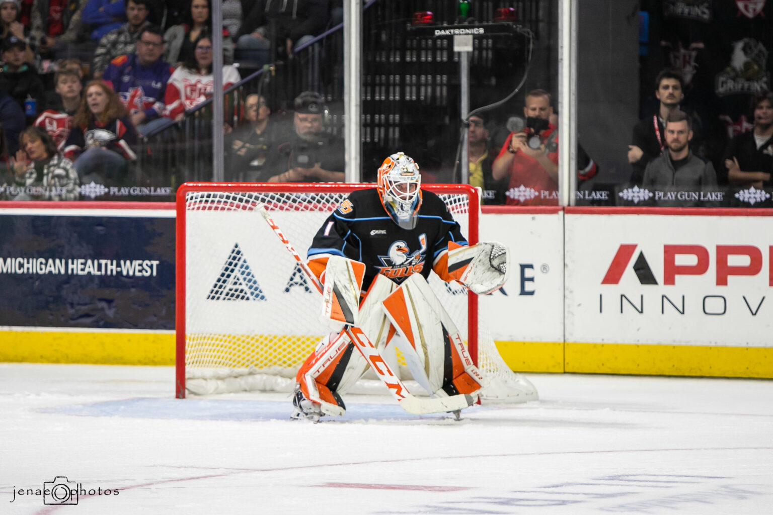 Ducks' Lukáš Dostál is emerging as an NHL-Ready Goaltender - The Hockey ...