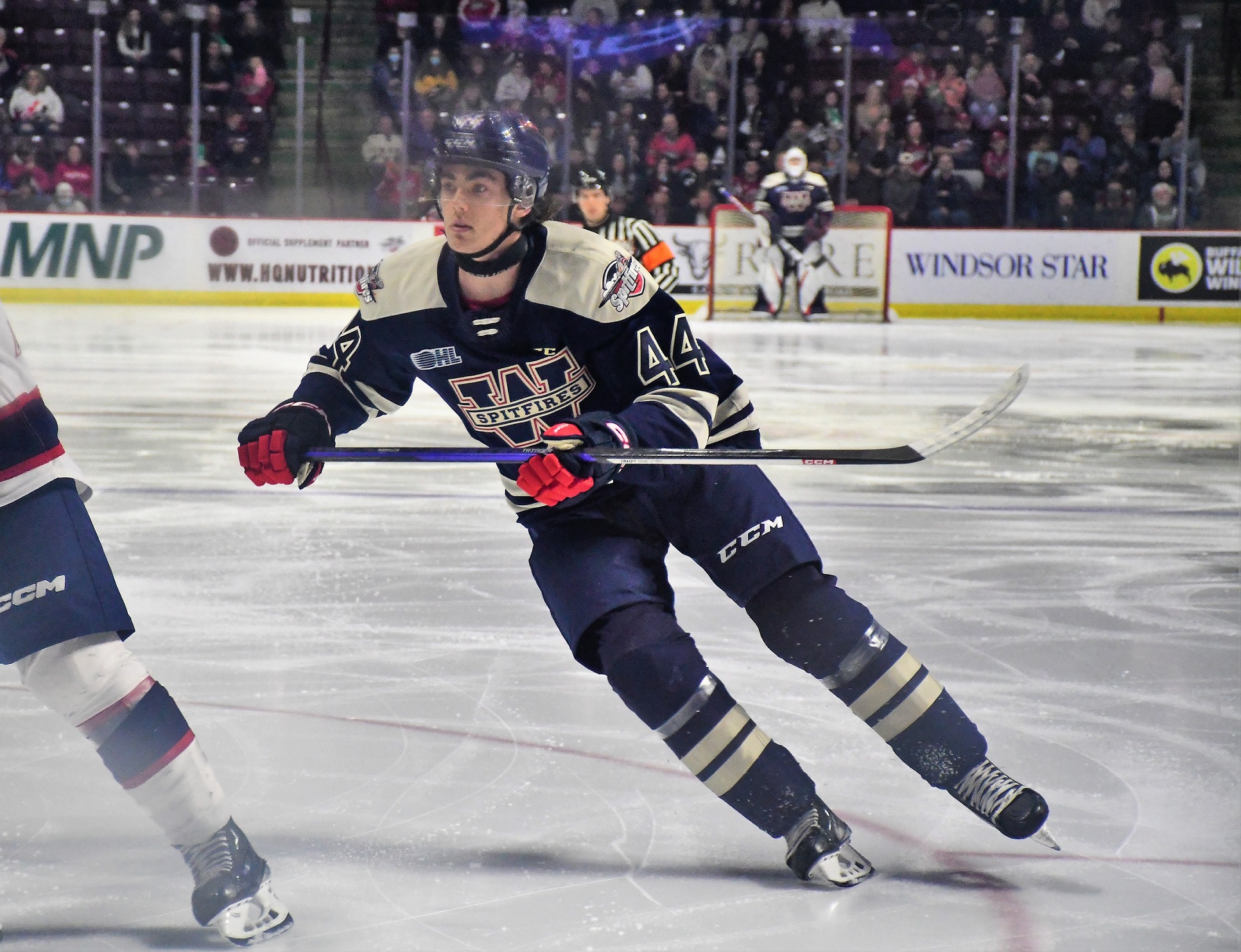 Brett Harrison: Bio, Stats, News & More - The Hockey Writers