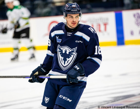 Wild's David Spacek Looking Like Another Late-Round Steal - The Hockey ...