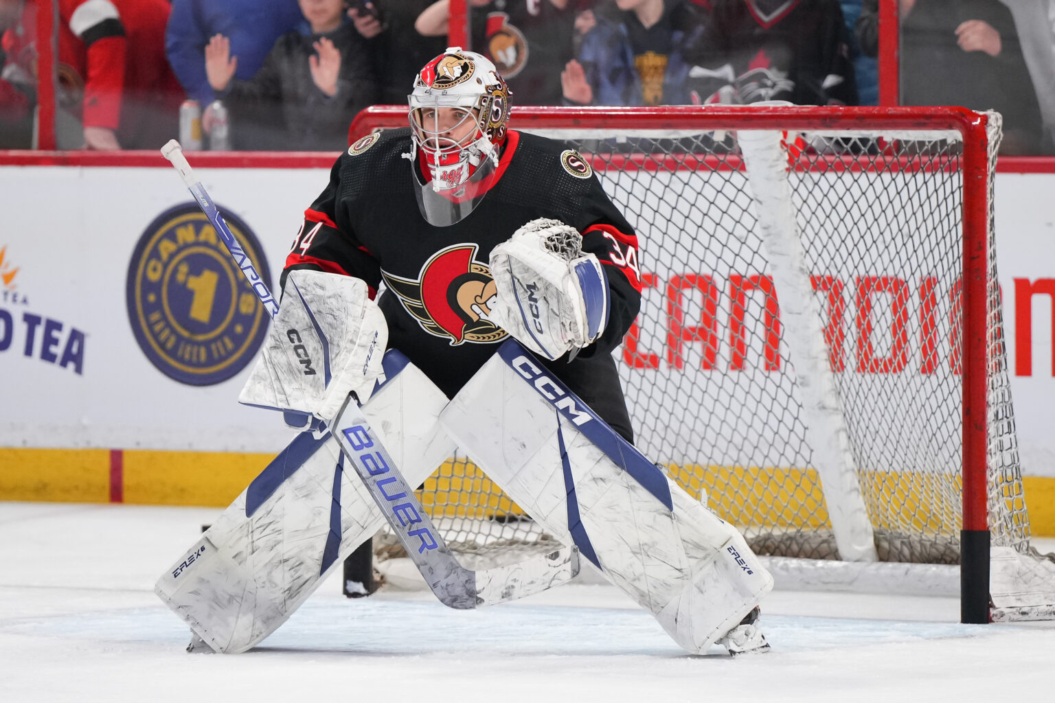 Dylan Ferguson: Bio, Stats, News & More - The Hockey Writers