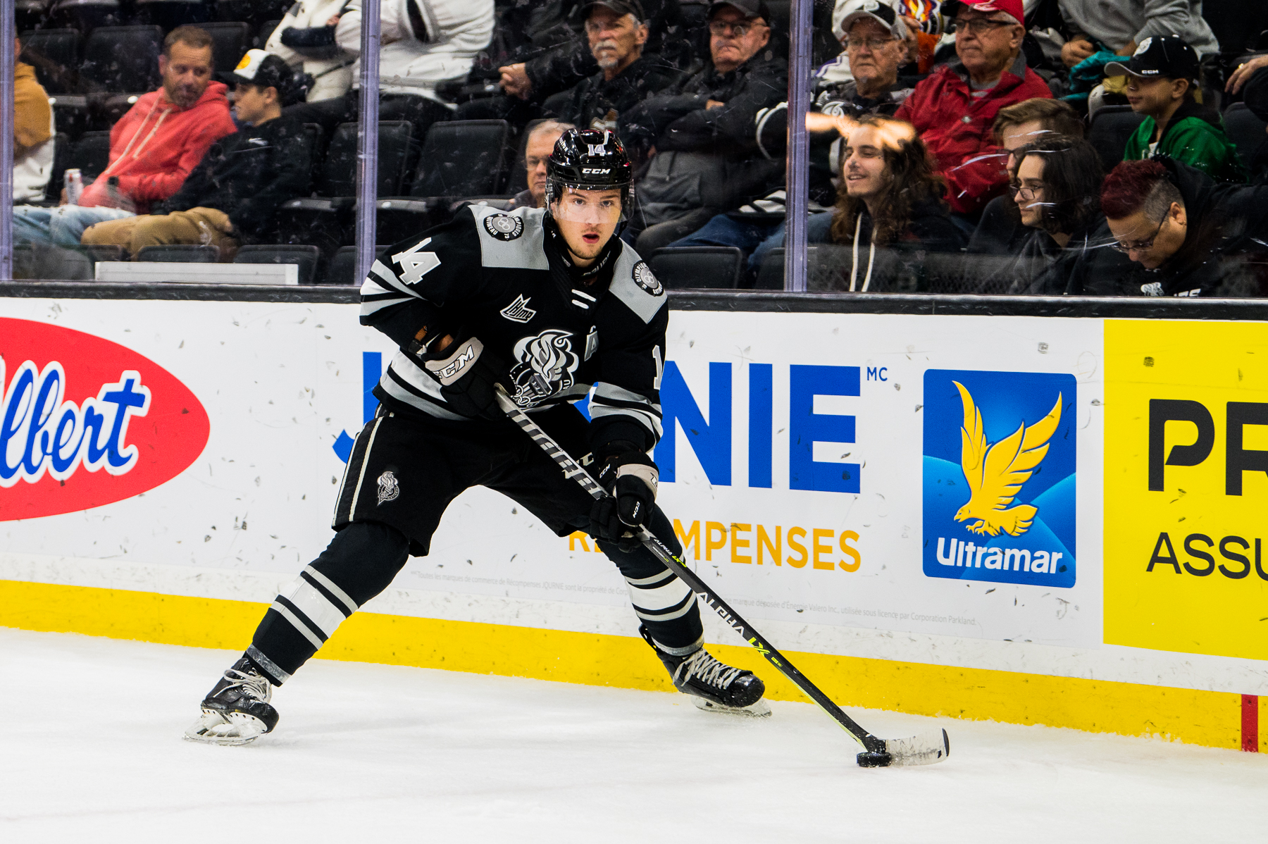 3 Blues Prospects Who Can Make 2023-24 Opening Night Roster - The ...