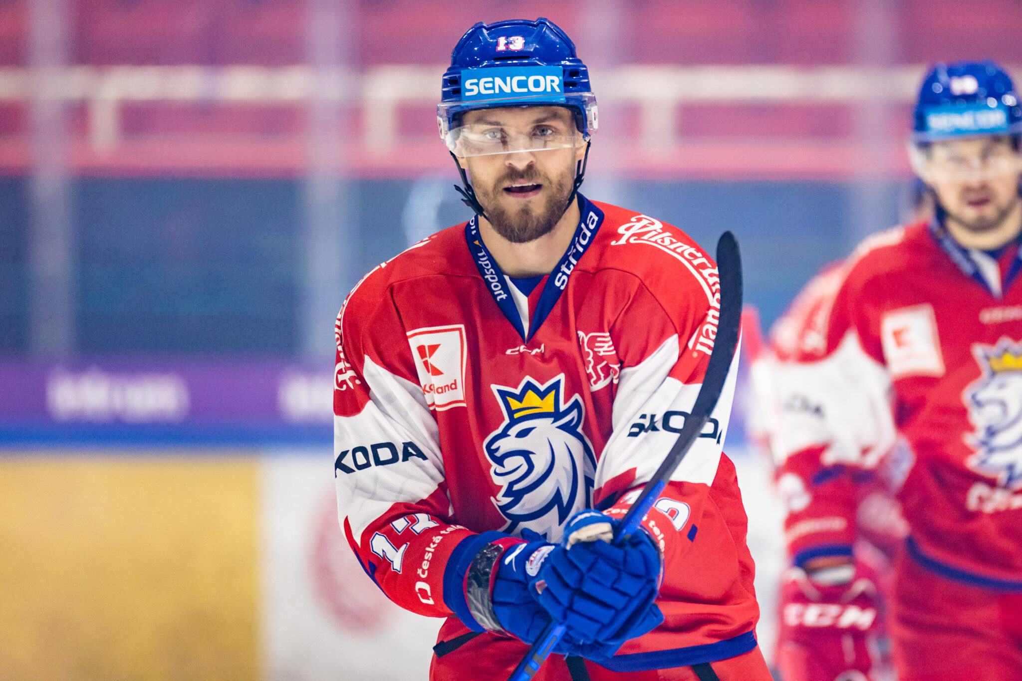 Senators Get More Competitive with Jiri Smejkal - The Hockey Writers ...