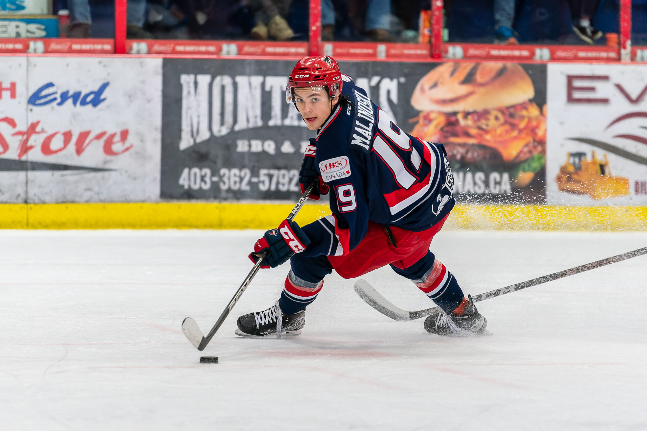 3 Maple Leafs Under-the-Radar Prospects for 2023-24 Season