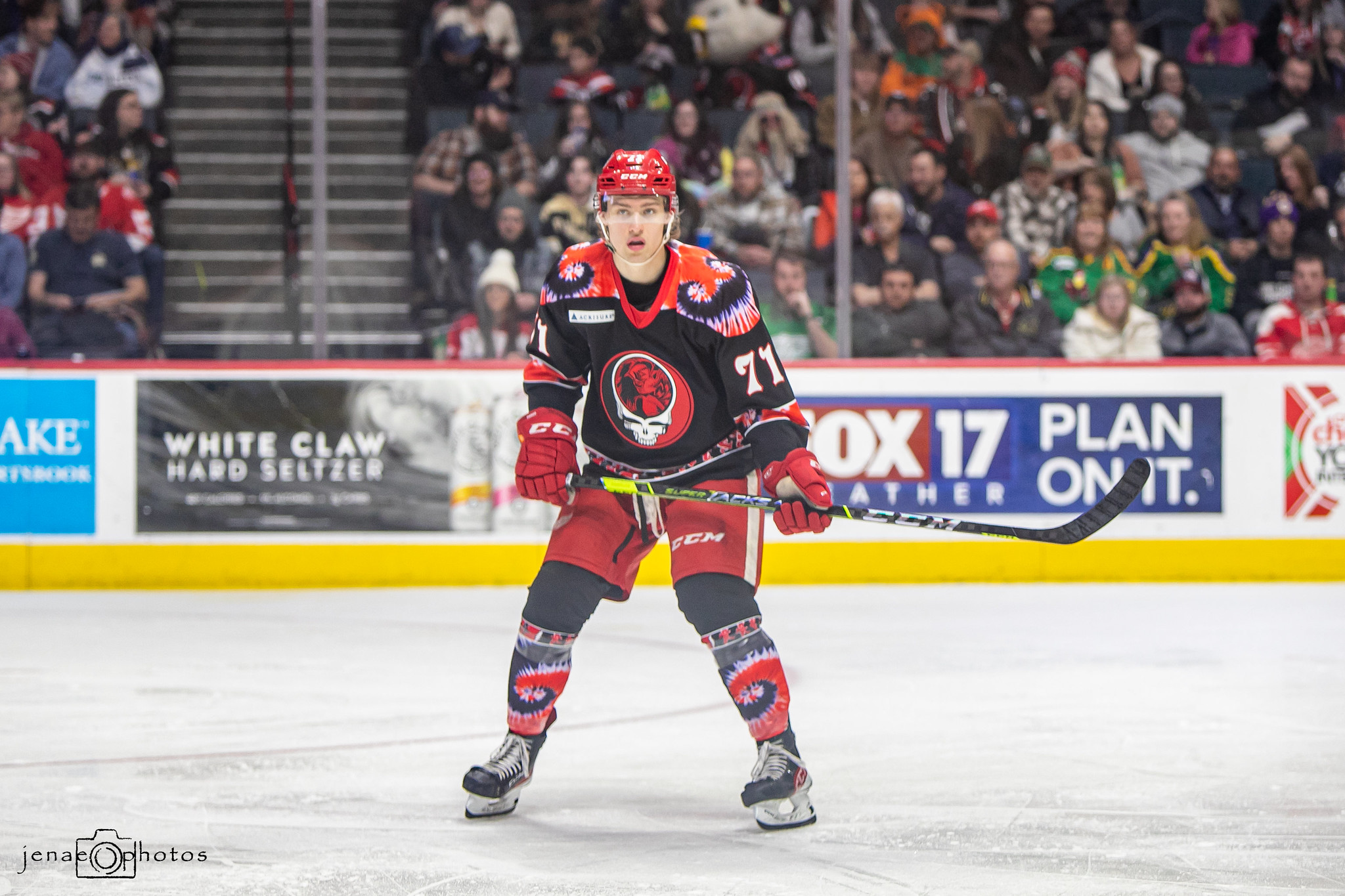 Detroit Red Wings Prospect Spotlight Cross Hanas