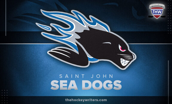 Saint John Sea Dogs Commit to Rebuild With Total Roster Revamp - The ...