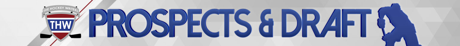 Radim Mrtka - 2025 NHL Entry Draft Prospect Profile - The Hockey Writers - NHL Entry Draft - NHL ...