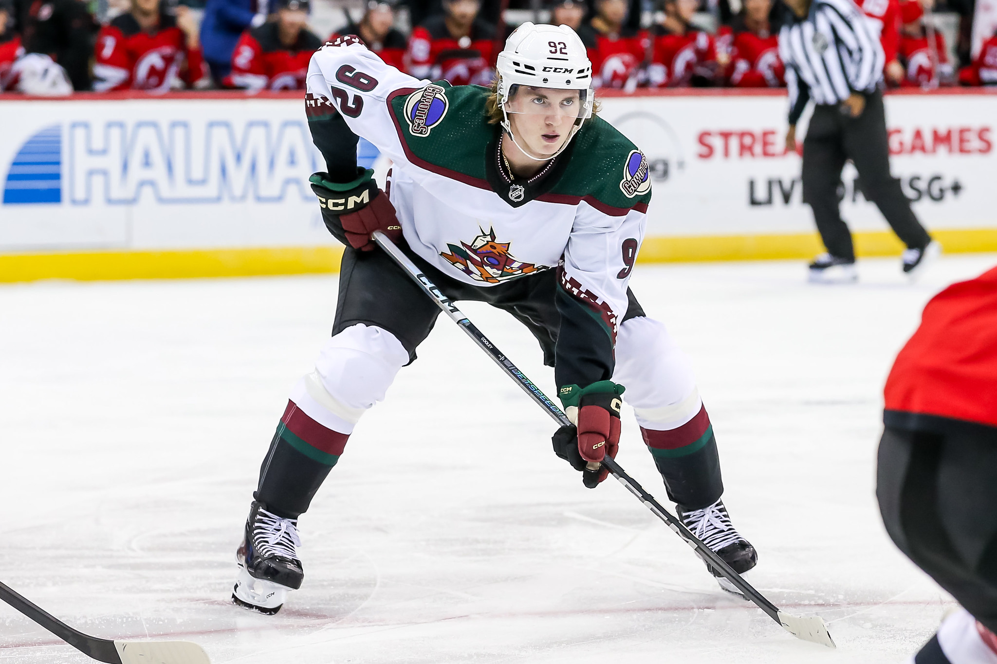 Coyotes Are Winning Games Without Elite Players