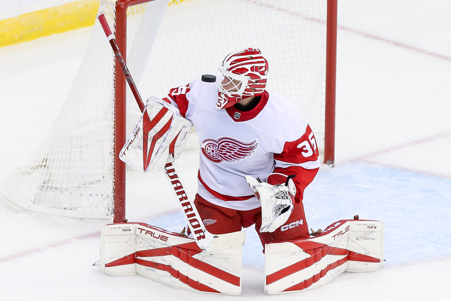 Red Wings 2024-25 Season Preview - The Hockey Writers - - NHL News ...