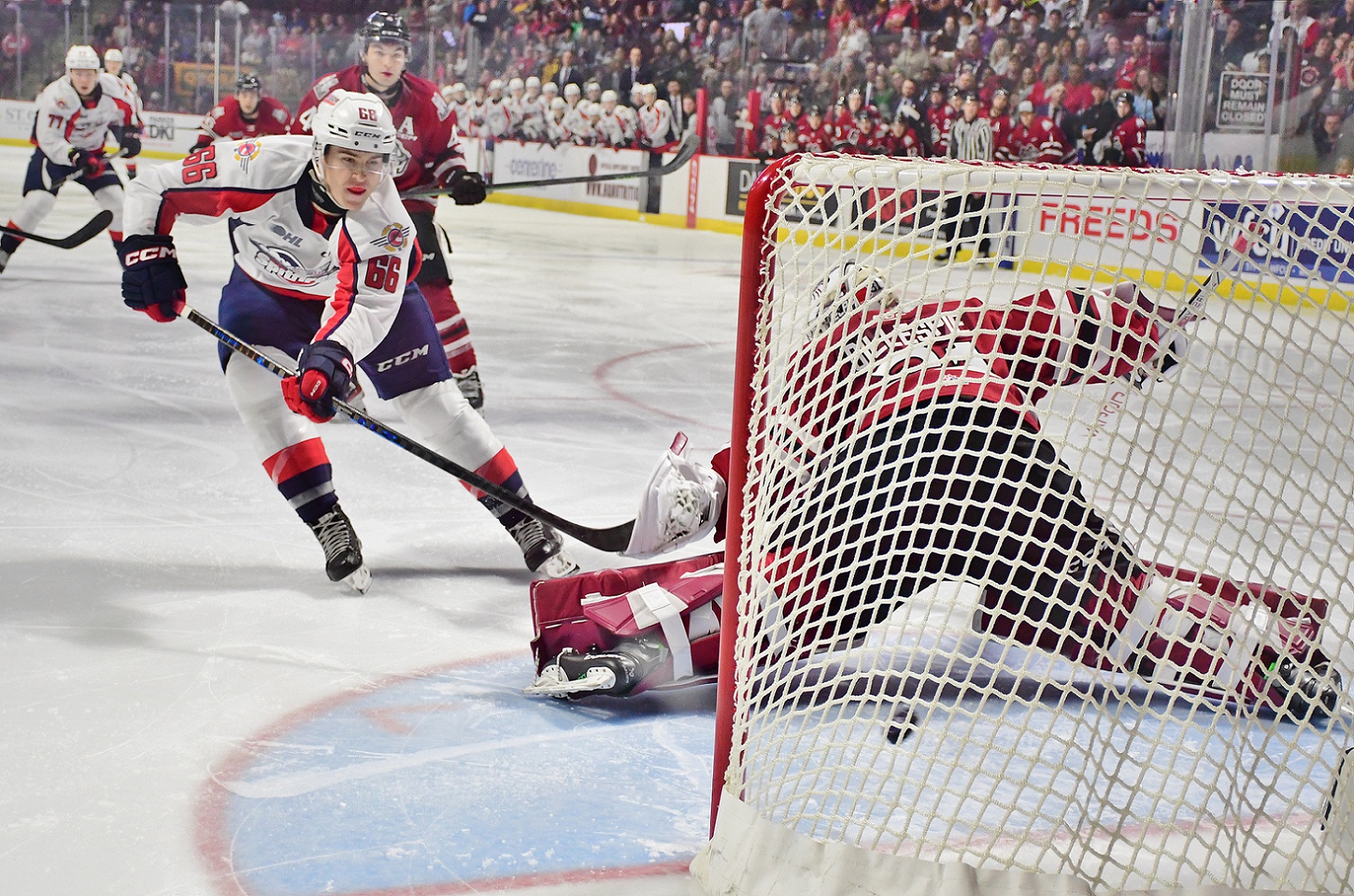 Liam Greentree - 2024 NHL Draft Prospect Profile - The Hockey Writers ...