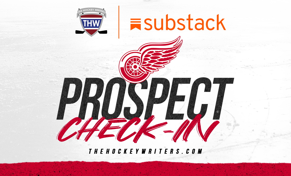 Red Wings 2025-26 Mid-Season Prospect Overview: Defense - The Hockey ...