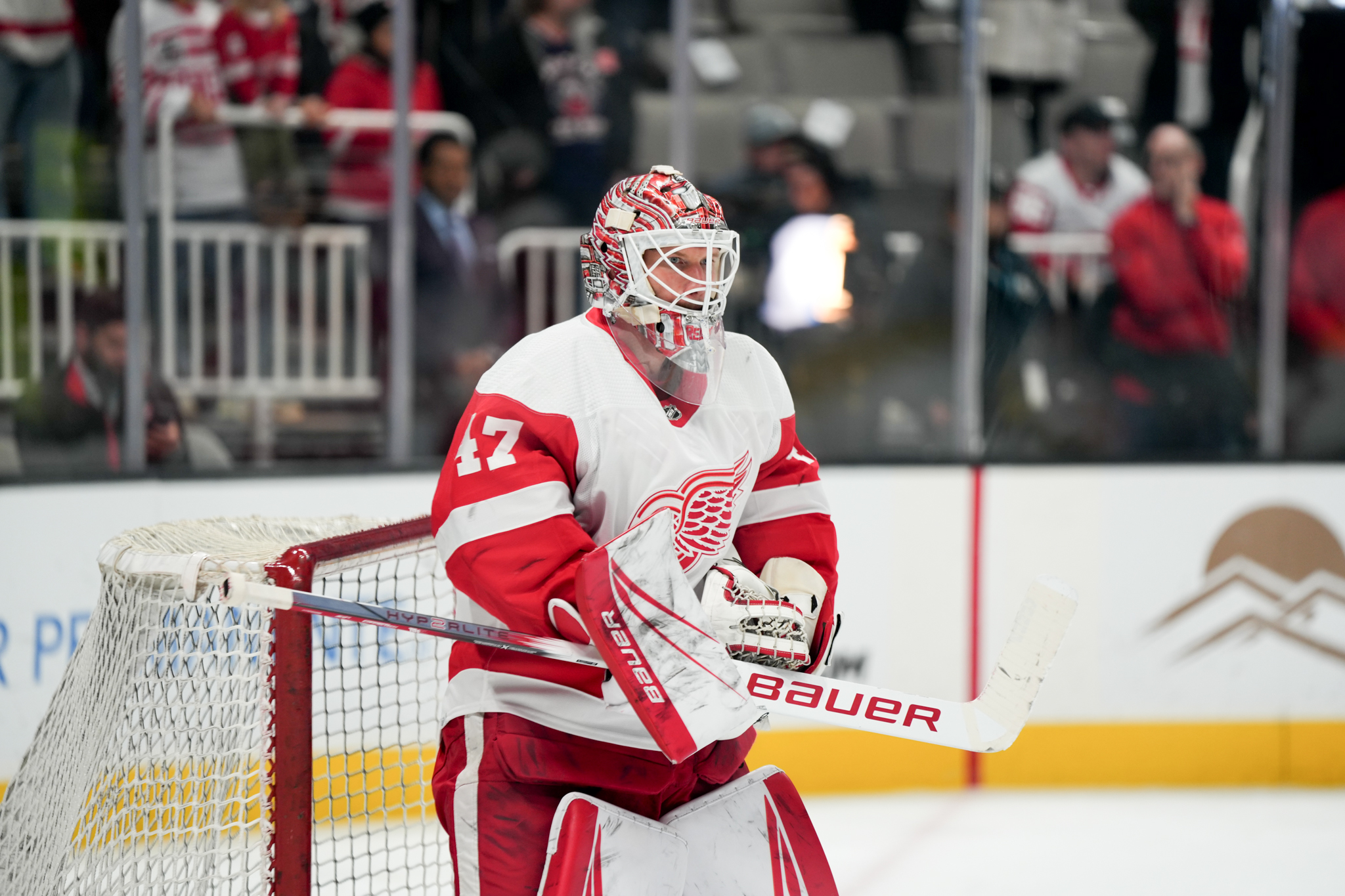 Grading the Red Wings' Season After 60 Games - The Hockey Writers ...