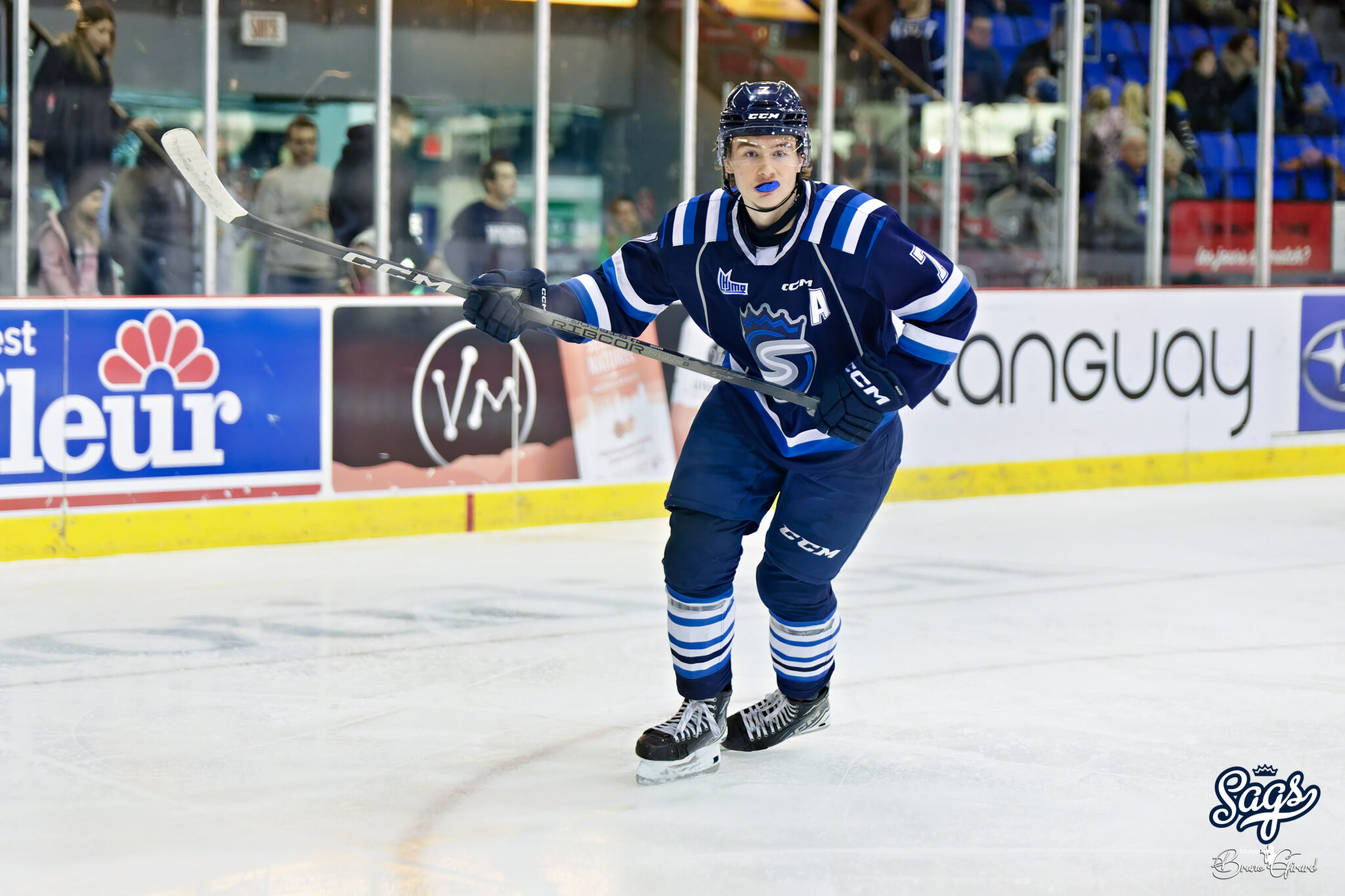 Maxim Massé — 2024 NHL Draft Prospect Profile - The Hockey Writers - NHL Entry Draft - NHL News ...