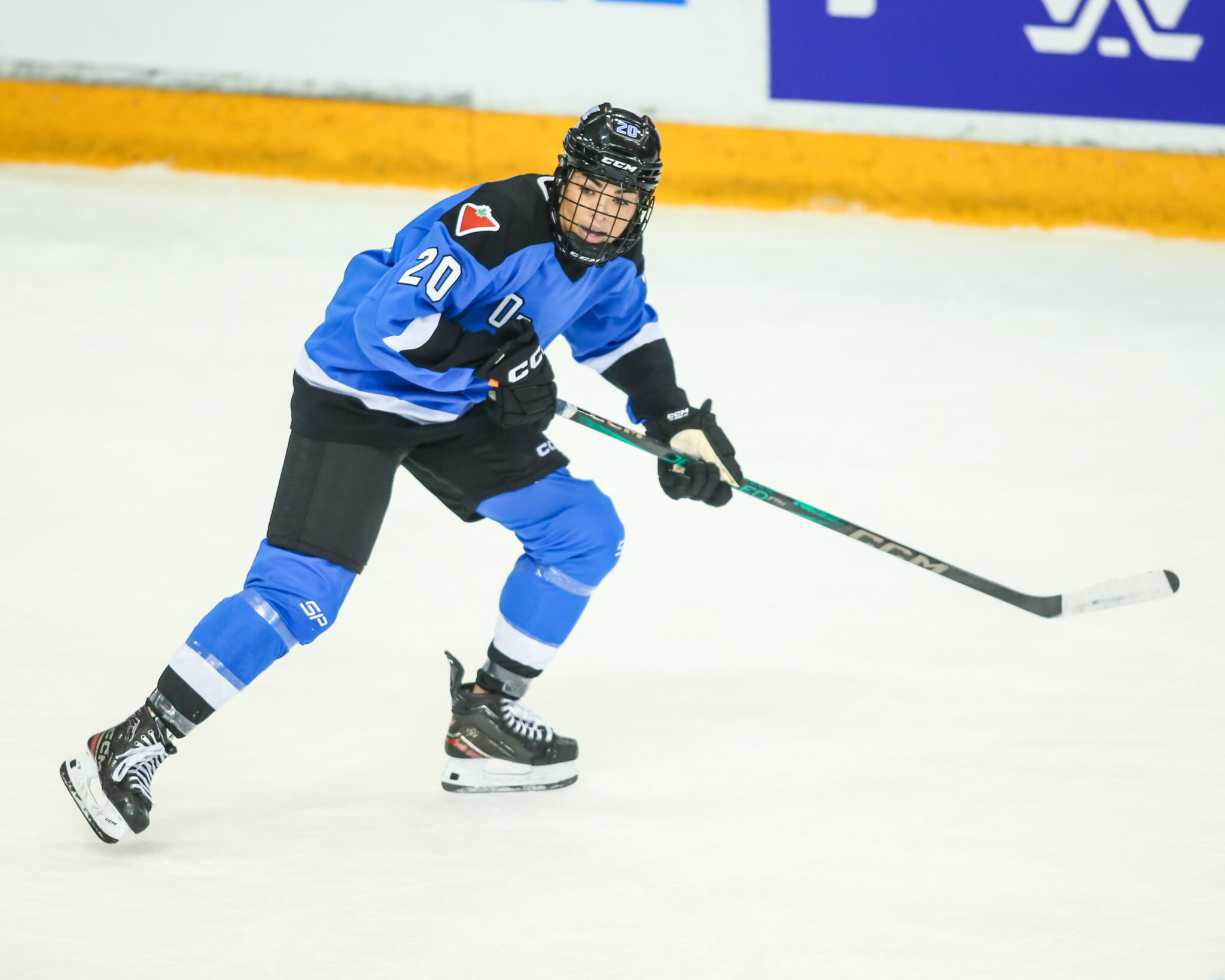 Sarah Nurse The Hockey Writers